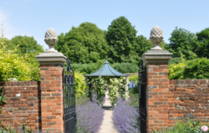 Open Garden at Bledlow Manor, Church End, Bledlow HP27 9PB in aid of ...